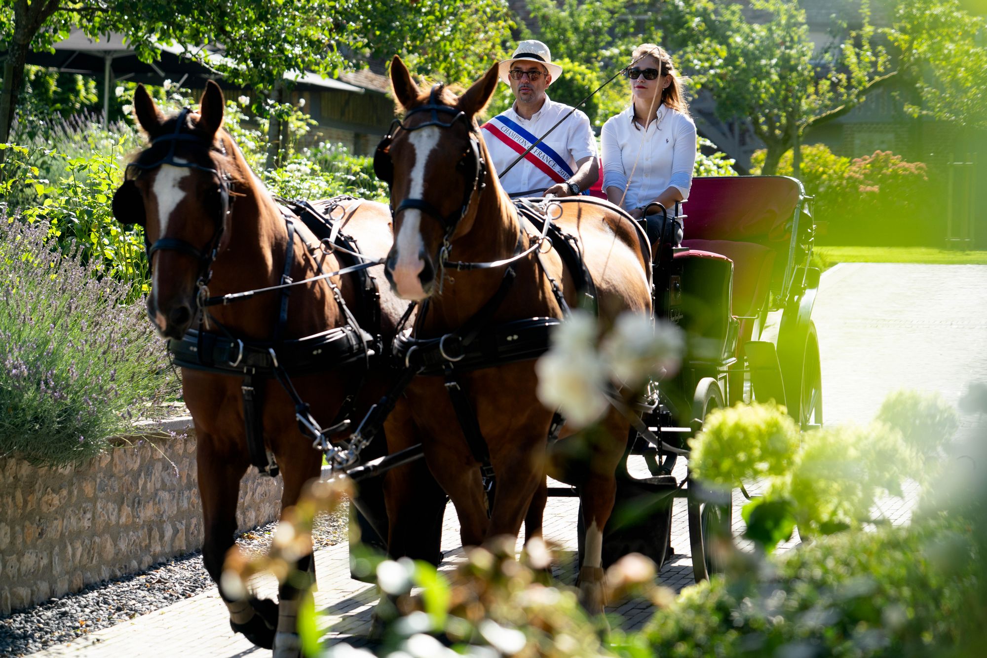 La Calèche | Balade à cheval à Honfleur